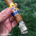 CAO Colombia Cigar Review & Rating